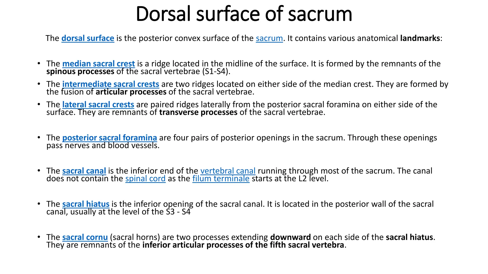 7. The lower extremities.pdf anatomy pdf | PDF