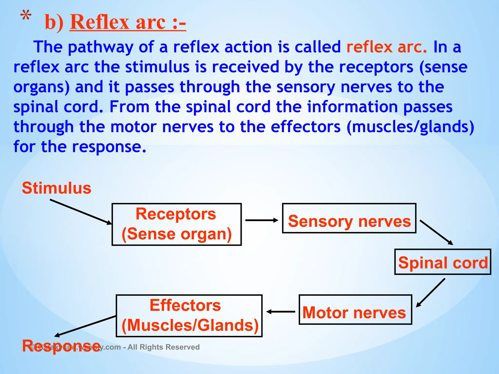 7. control and coordination.pptx science | PPTX