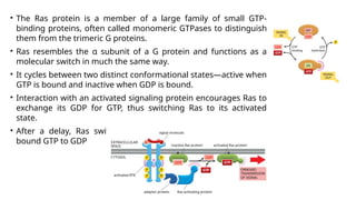 7. Cell Signalning Lecture 7-Nov 11, 2024.pptx
