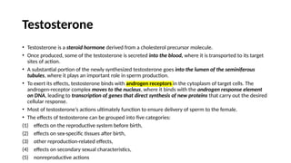 7. Male Reproductive Hormones [Autosaved].pptx