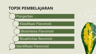 BAB Flavonoid Fitokimia D3 Farmasi Universitas anwar medika | PPT