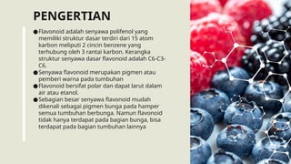 BAB Flavonoid Fitokimia D3 Farmasi Universitas anwar medika | PPTX