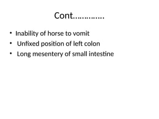 Difference between Horse, Mule and Donkey.ppt
