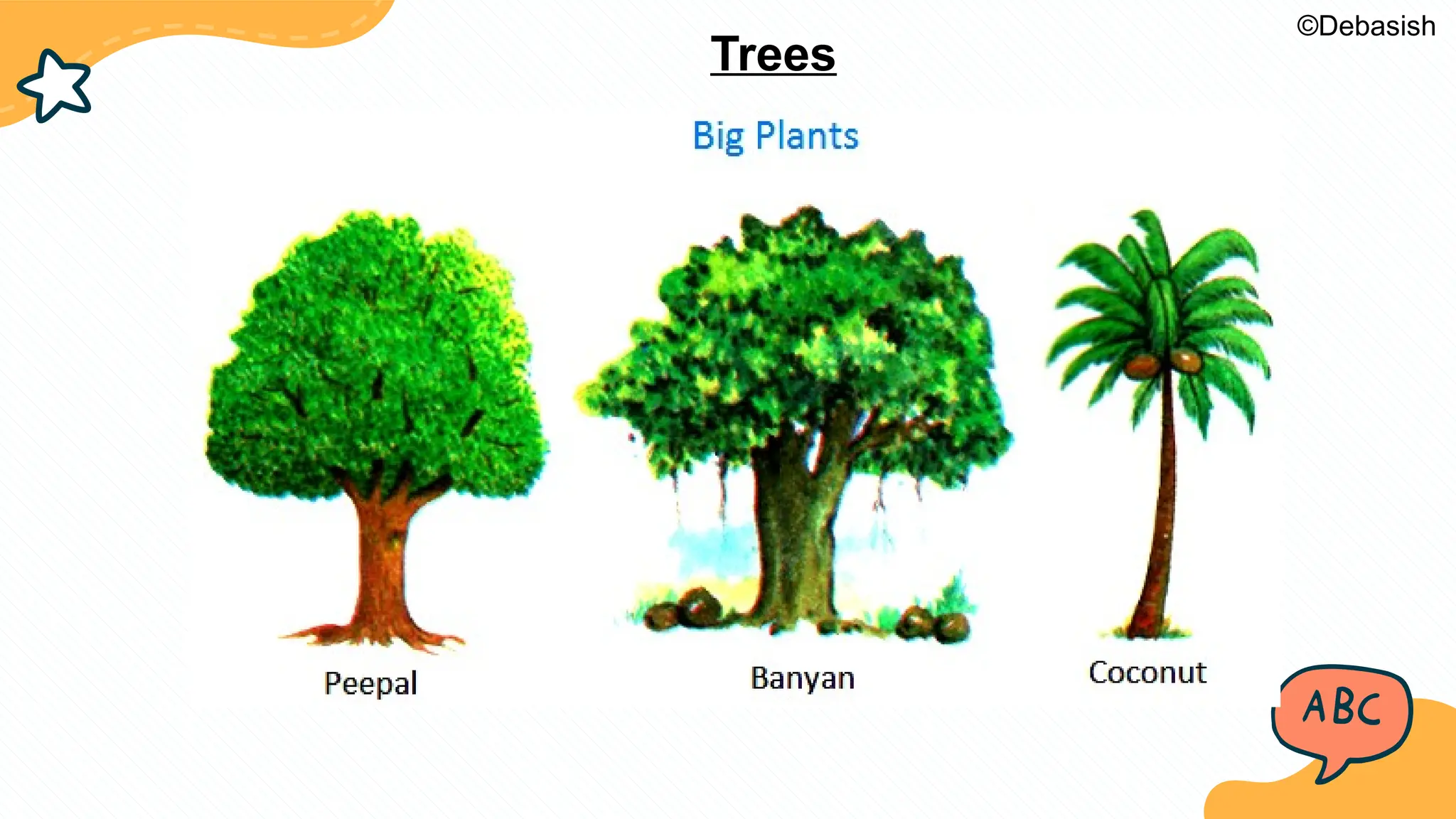 7. Getting to know plants and plants ppt | PPTX