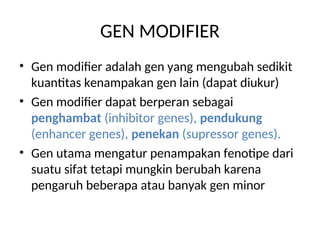 7. pleiotropi, gen modifier genetika tanaman | PPT