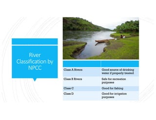7. Water Pollution, Environmental Science | PDF