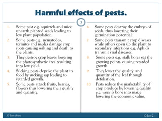 Agriculture form three notes chapter 7 Crop pests and diseases | PDF