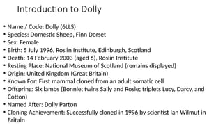 Dolly - The Cloned Sheep (1st Mammal cloned from an adult somatic cell ...