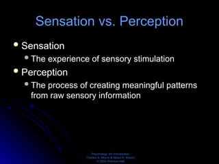 7. Sensation and Perception presentation | PPT