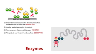 ENZYMES - CATALYTIC SURFACE - CLASSIFICATION | PPTX