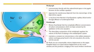 7. Inner ear.pptx anatomy and pathophysio | PPTX