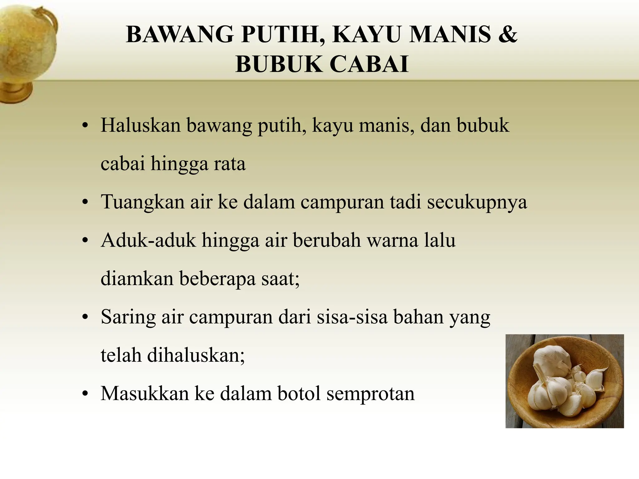 PENGUSIRAN HAMA (jenis serangga dari ordo Diptera).pdf
