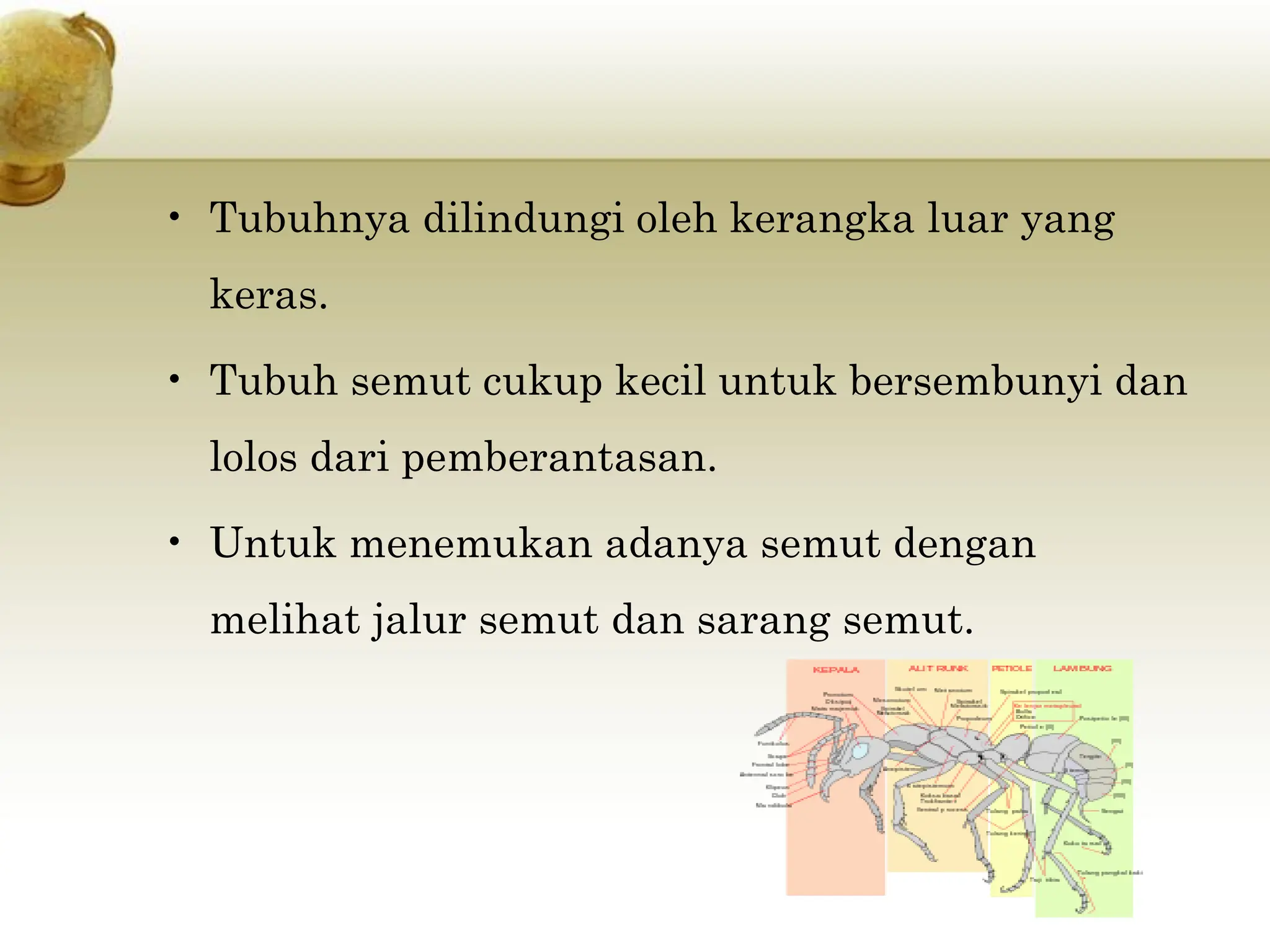 PENGUSIRAN HAMA (jenis serangga dari ordo Diptera).pdf