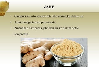 PENGUSIRAN HAMA (jenis serangga dari ordo Diptera).pdf