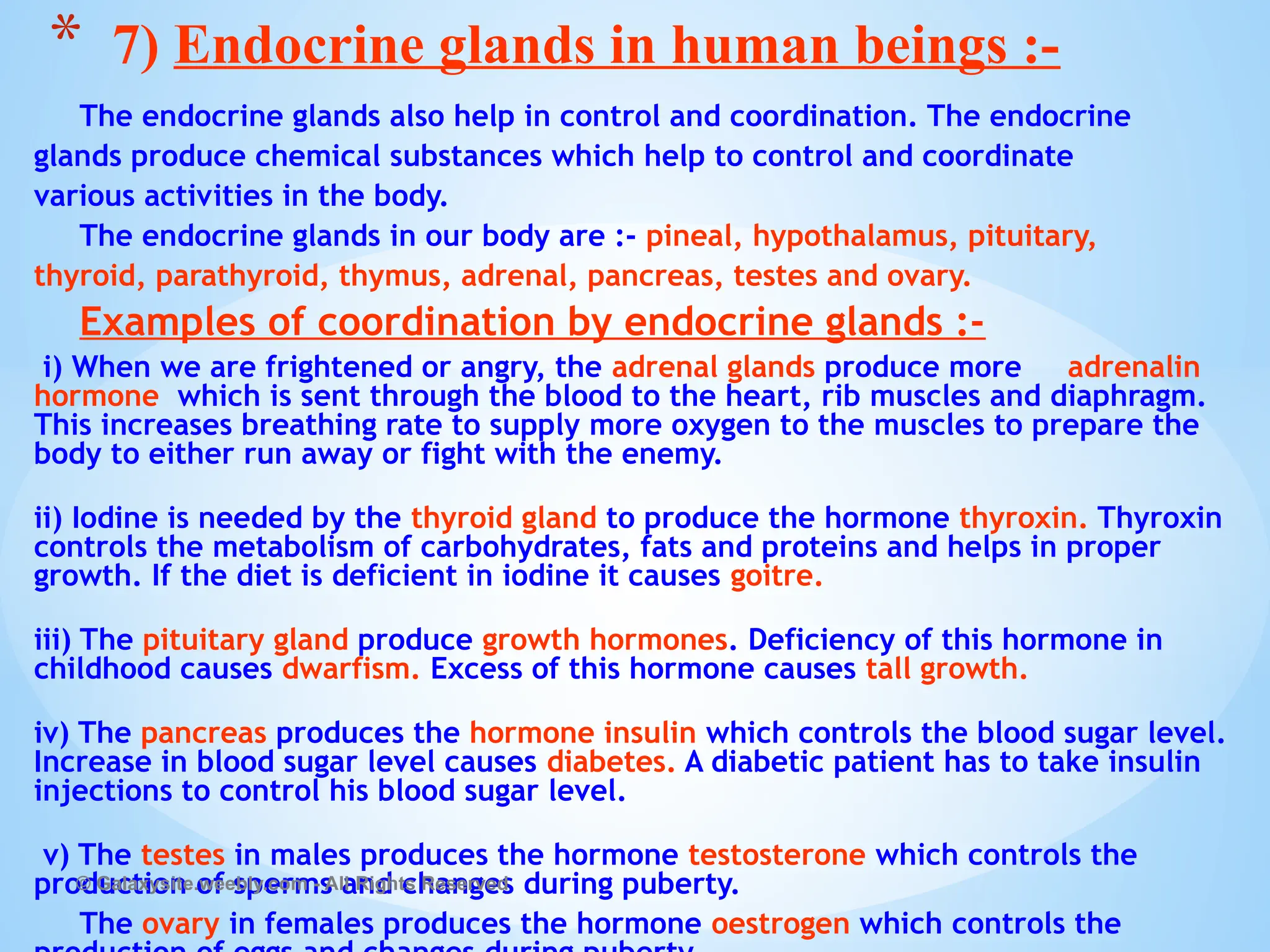 7. control and coordination science class 10 chapter ppt.pptx