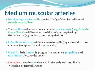 Anatomy of Cardiovascular system of Human body.pptx
