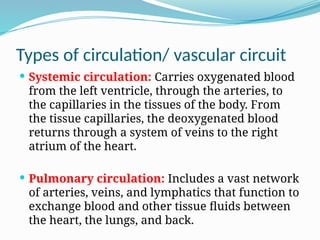 Anatomy of Cardiovascular system of Human body.pptx