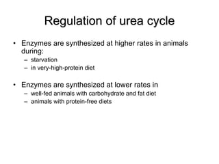 7. Protein Metabolism and Urea Cycle.pdf