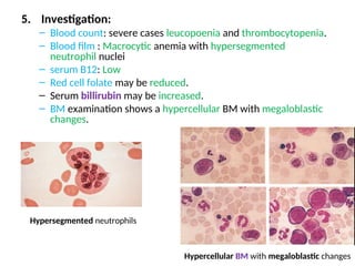 Hematology summary for medical students. | PPT