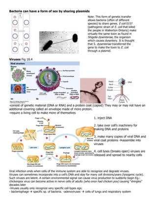 7.2 Cell Structure | PDF