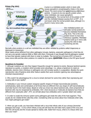 7.2 Cell Structure | PDF