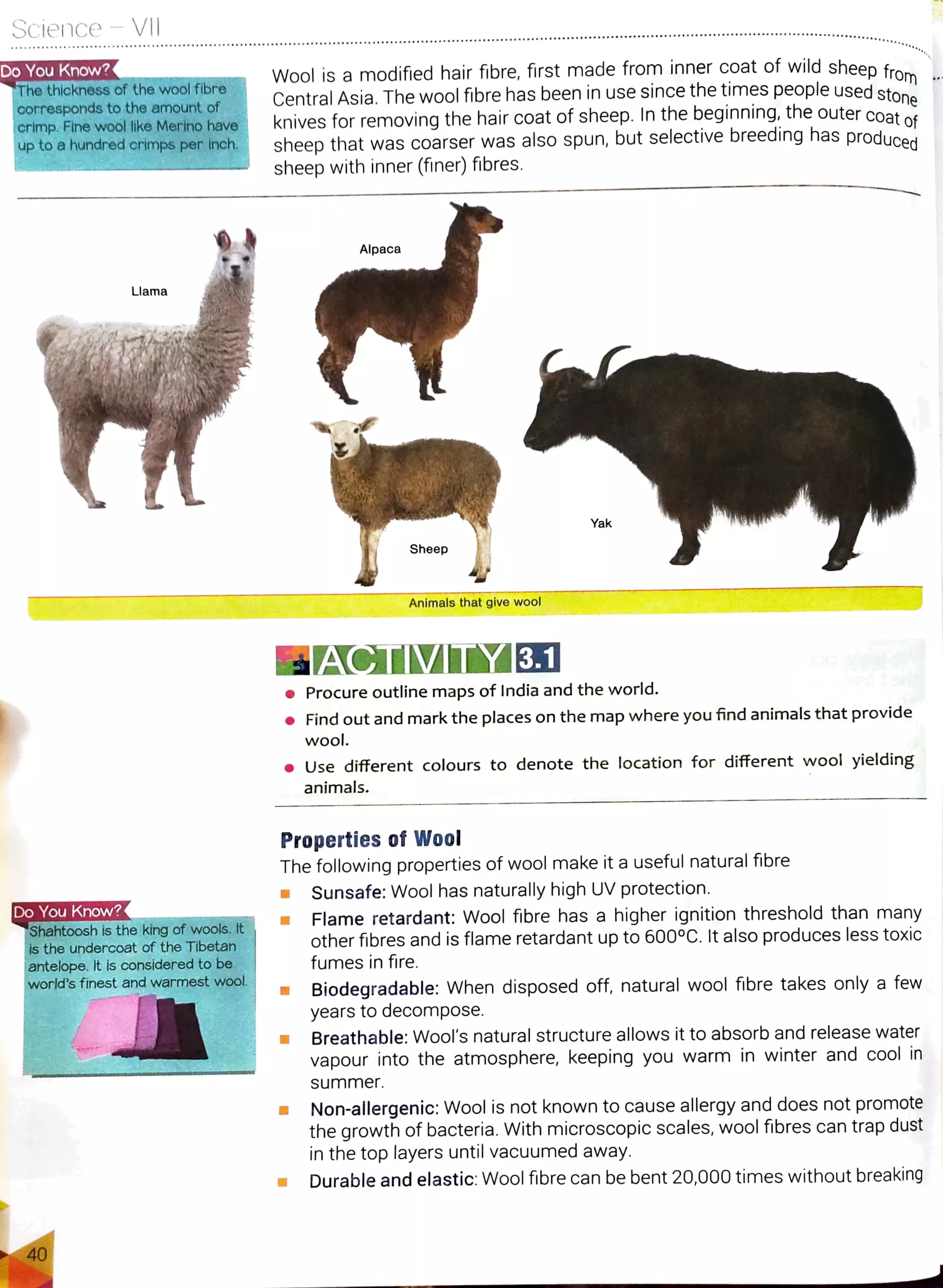Fibre to Fabric | PDF