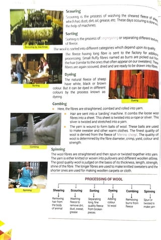 Fibre to Fabric | PDF