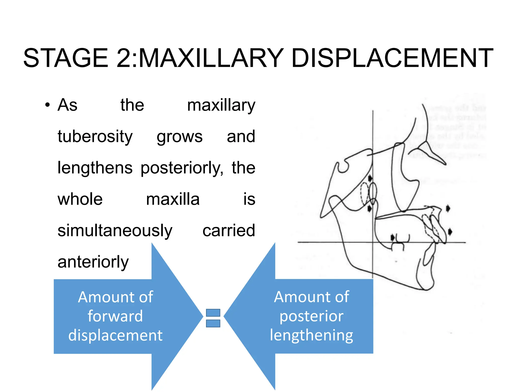 enlow counterpart principle with reference articles | PPTX
