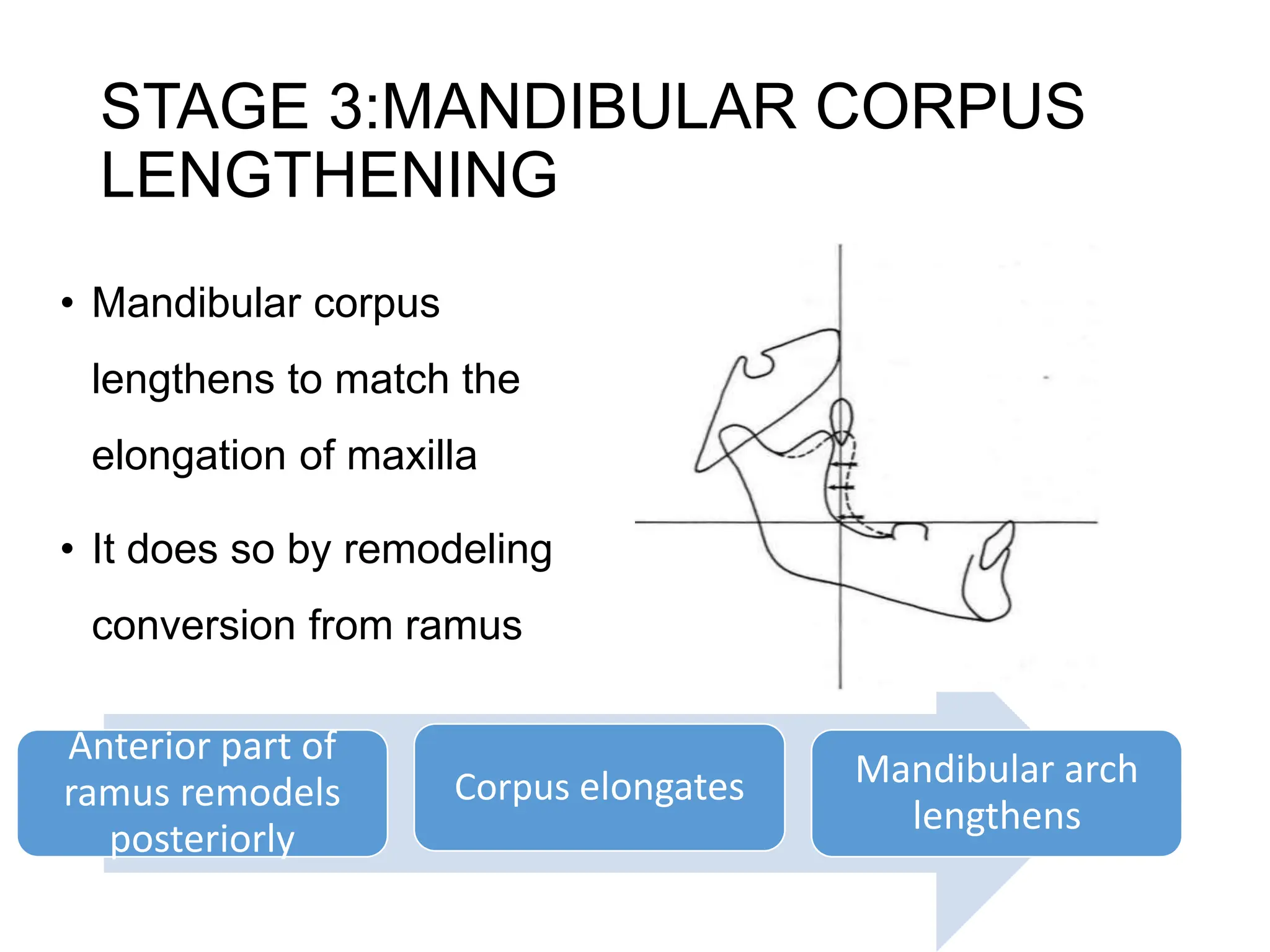 enlow counterpart principle with reference articles | PPTX