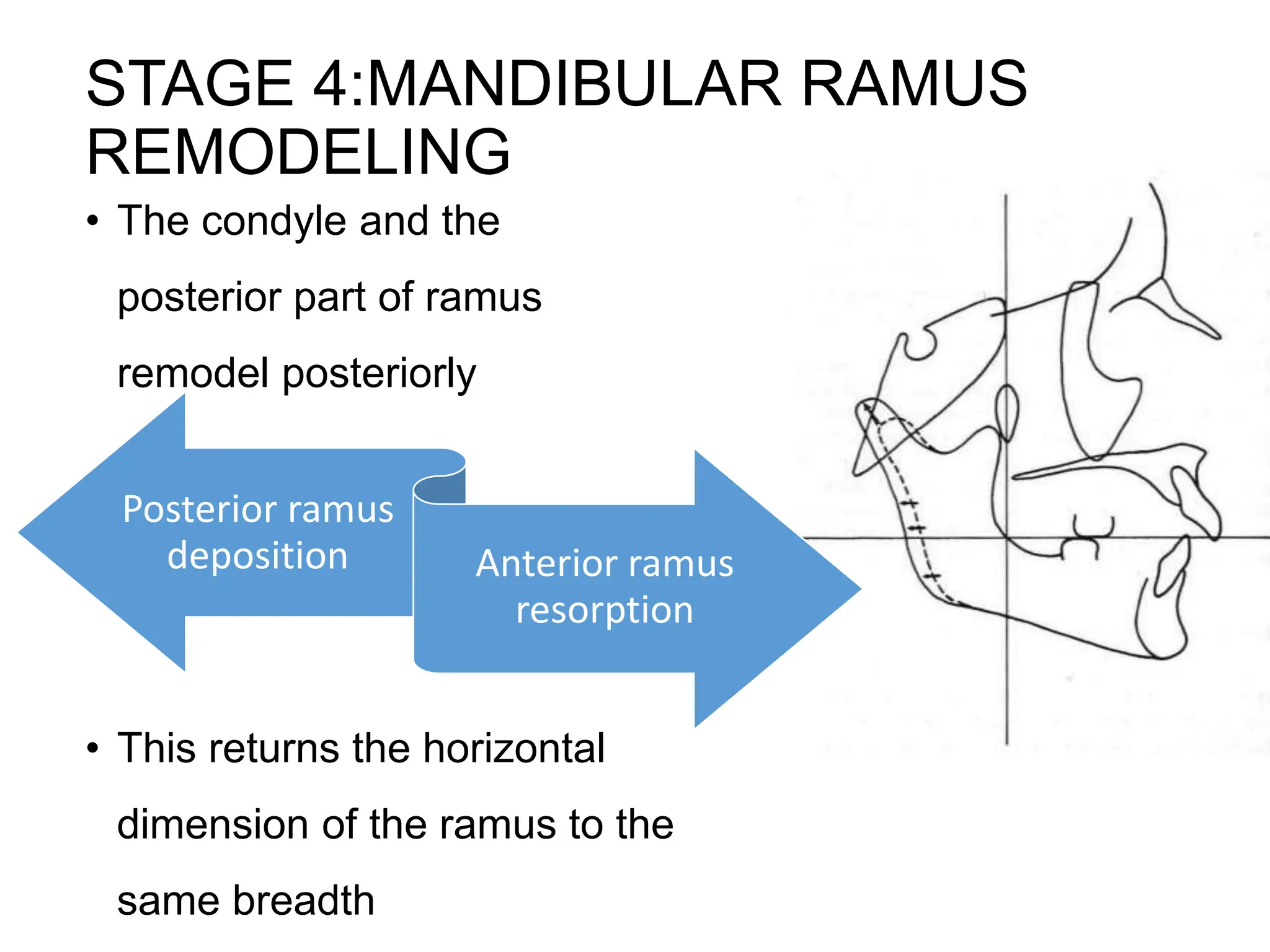 enlow counterpart principle with reference articles | PPTX