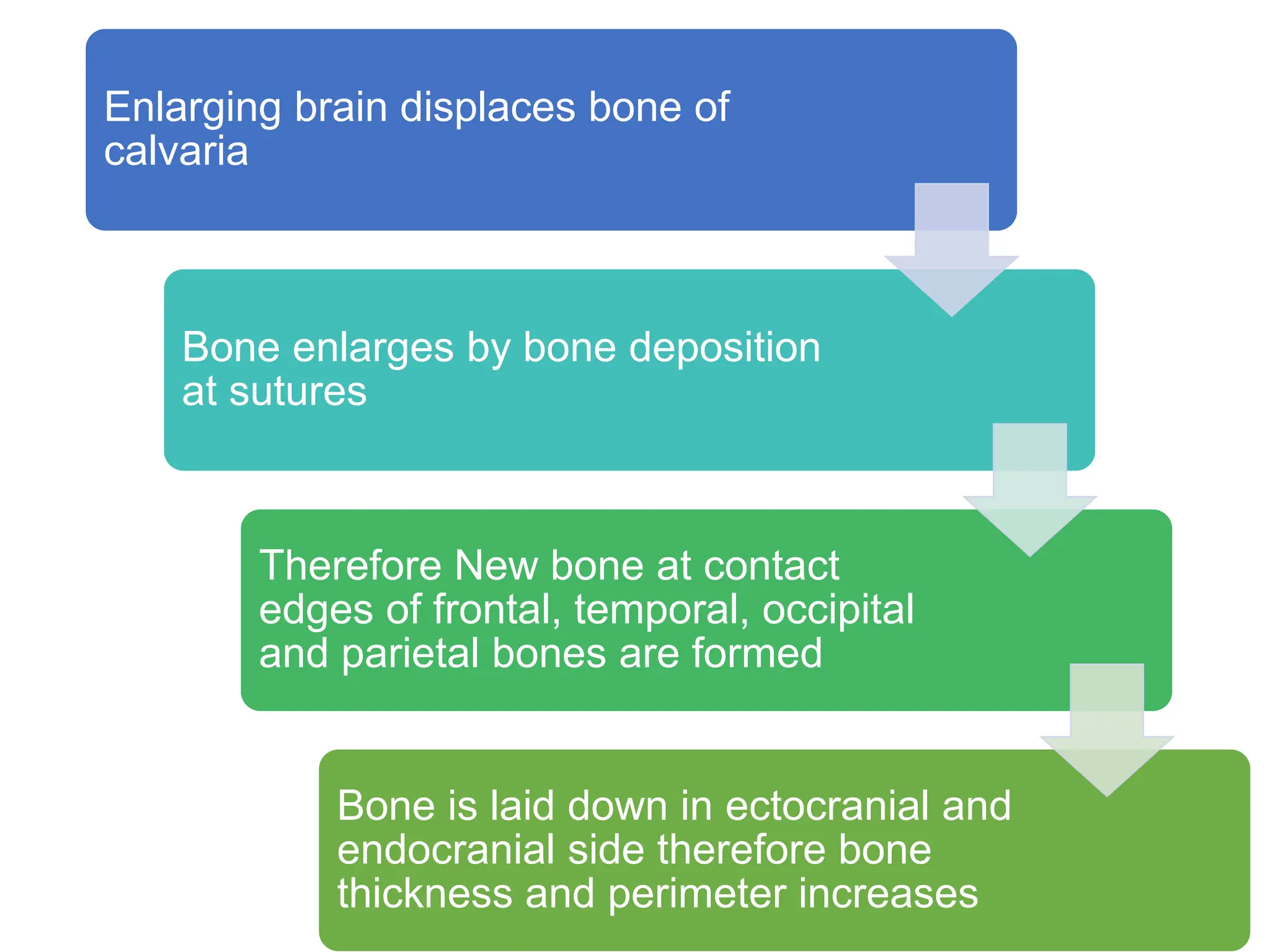 enlow counterpart principle with reference articles | PPTX