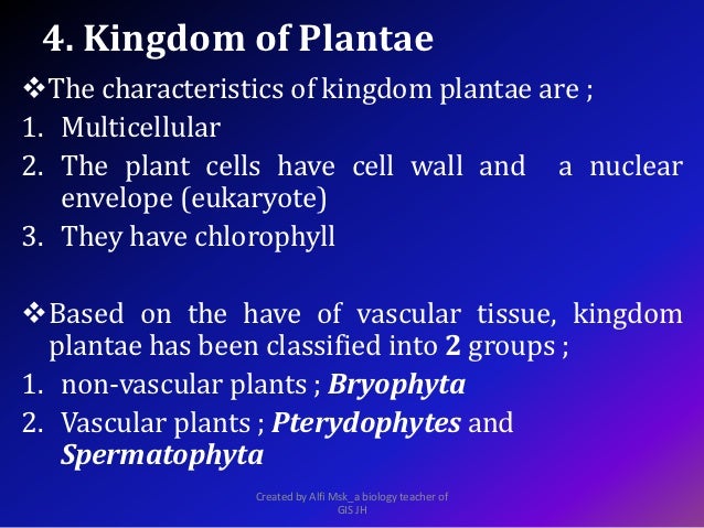 Plantae Kingdom Characteristics
