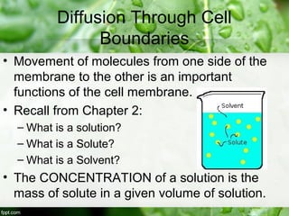 7 3 cell boundaries | PPT