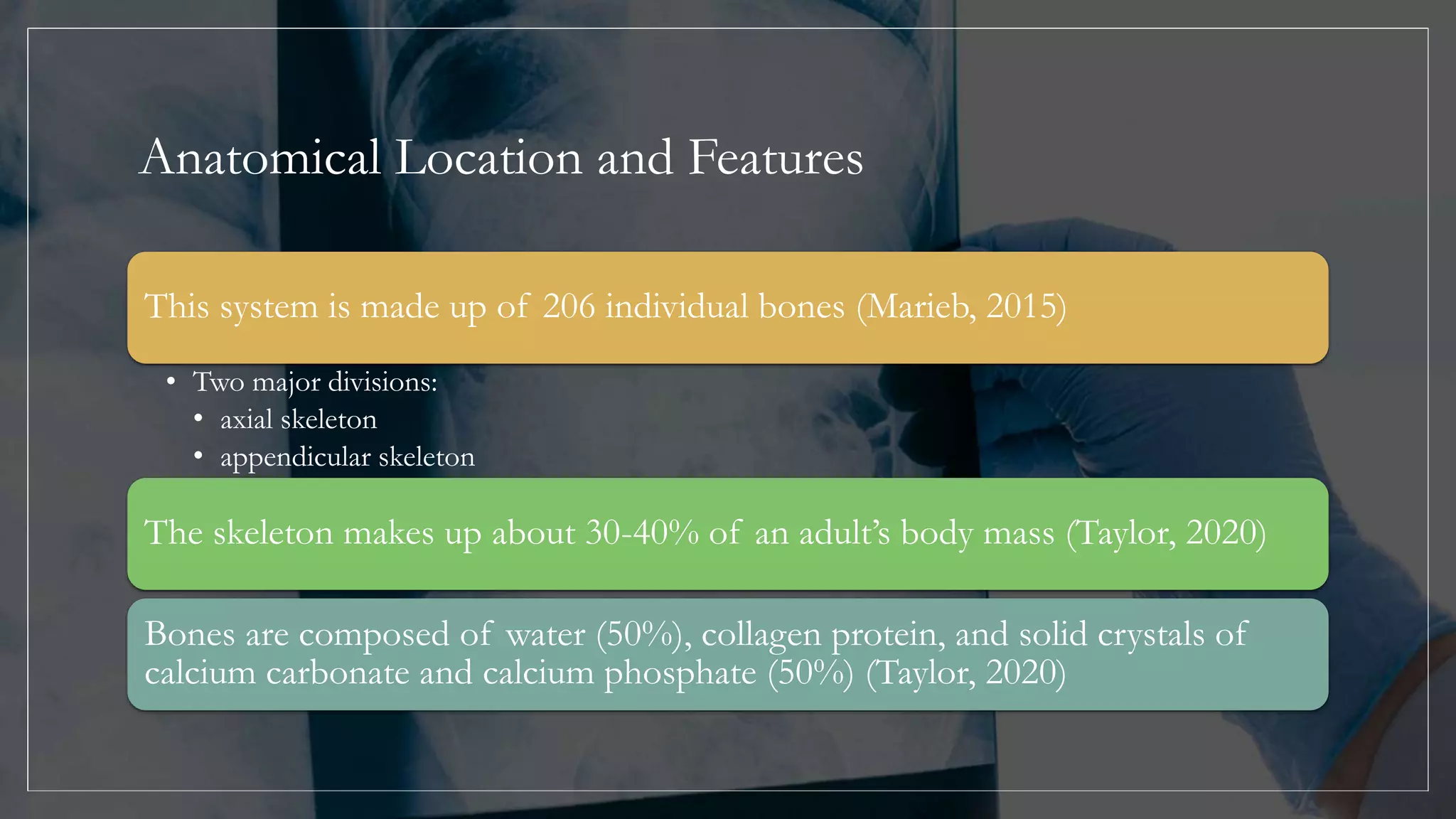 Anatomy and Physiology: The Skeletal System | PPTX