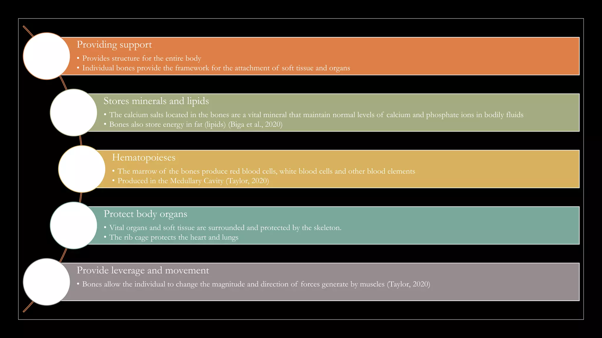 Anatomy and Physiology: The Skeletal System | PPTX