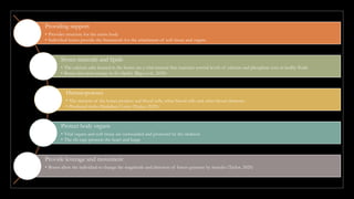 Anatomy and Physiology: The Skeletal System | PPTX