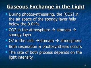 7.6 respiration in plants | PPT