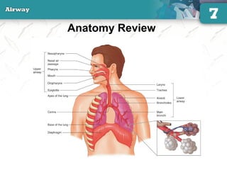 7-airway 1 Airway Management Guide to EMT | PPT