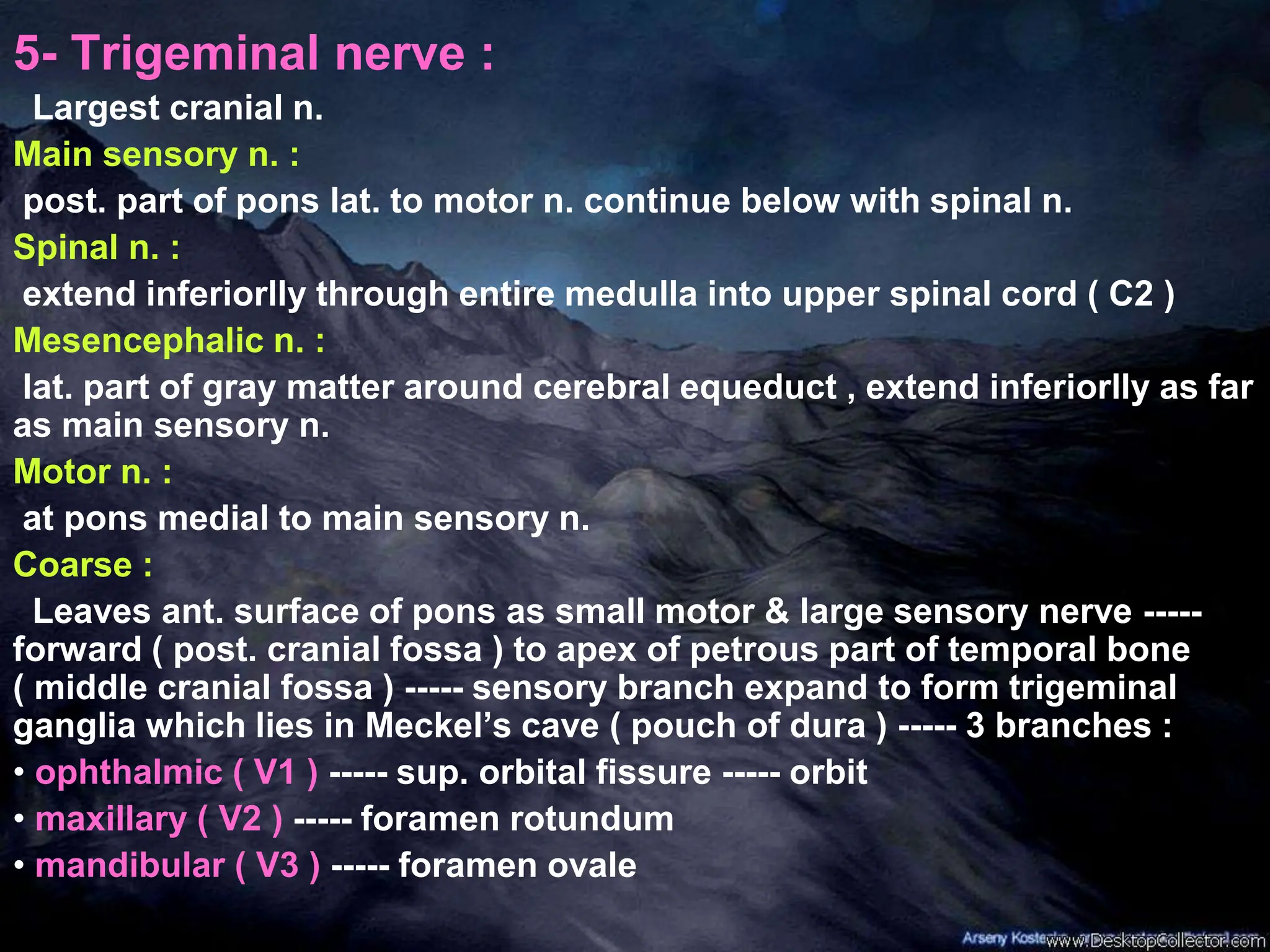 7-Anatomy of cranial nerve in snell. pptx | PPT