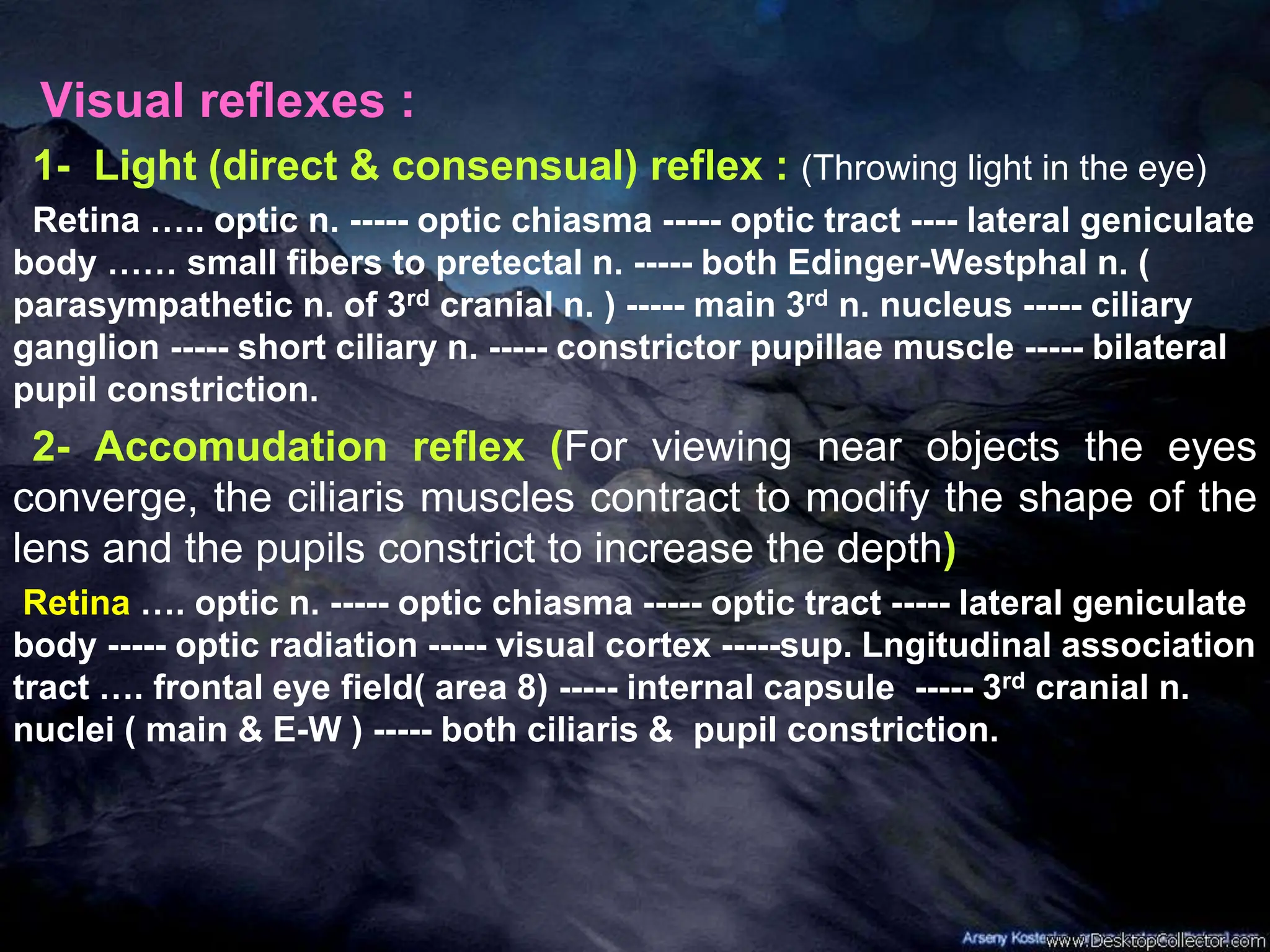 7-Anatomy of cranial nerve in snell. pptx | PPT