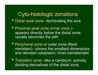 Lesson 7 bio101 (c)Dr. Evangelista | PDF
