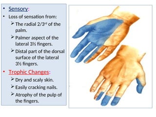 7- Axillary & Median Nehsbsvsgsgeegerves.ppt
