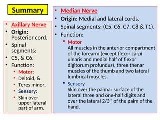 7- Axillary & Median Nehsbsvsgsgeegerves.ppt