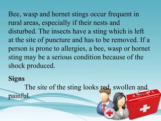 bites and first aid ppt. | PPTX