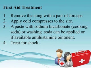 bites and first aid ppt. | PPTX