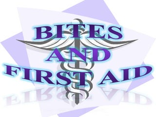 bites and first aid ppt. | PPTX