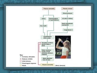 711-Body Fluids and human regulation.ppt