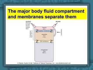 711-Body Fluids and human regulation.ppt