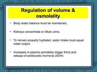711-Body Fluids and human regulation.ppt