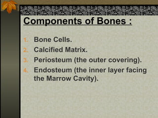 7-Bone & Bone Formation.ppt